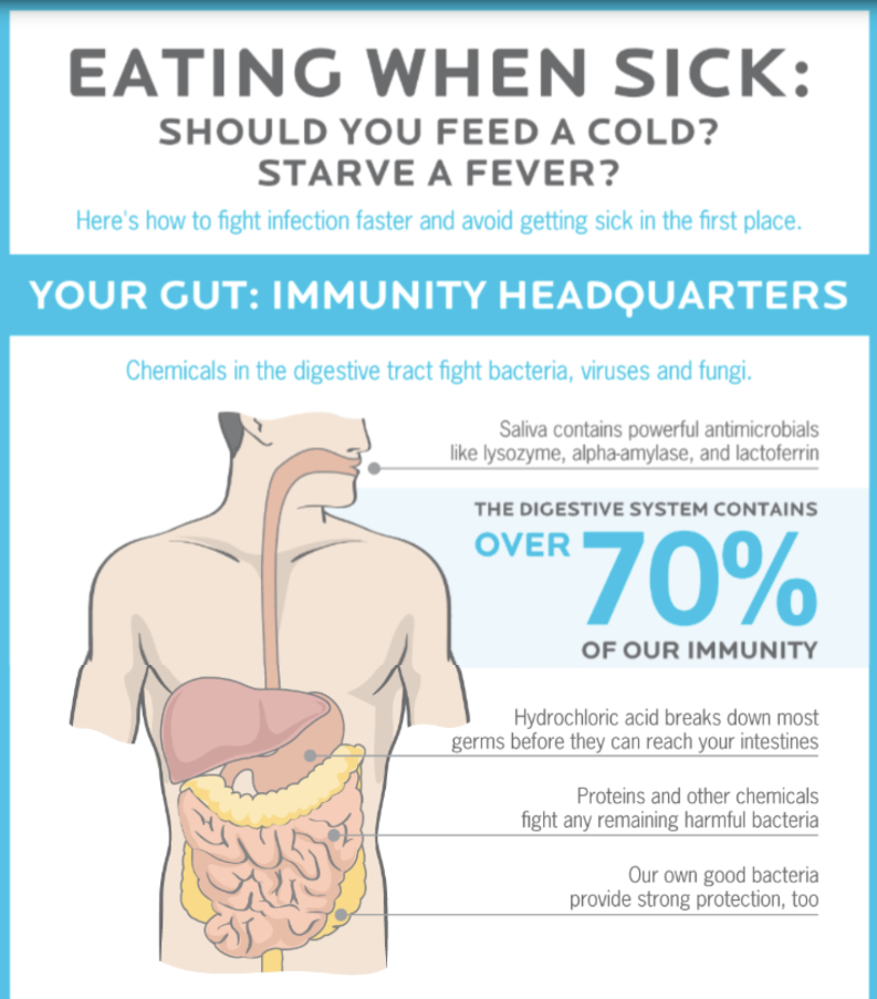 Feed a Cold or Starve a Fever? – Good Food Guide